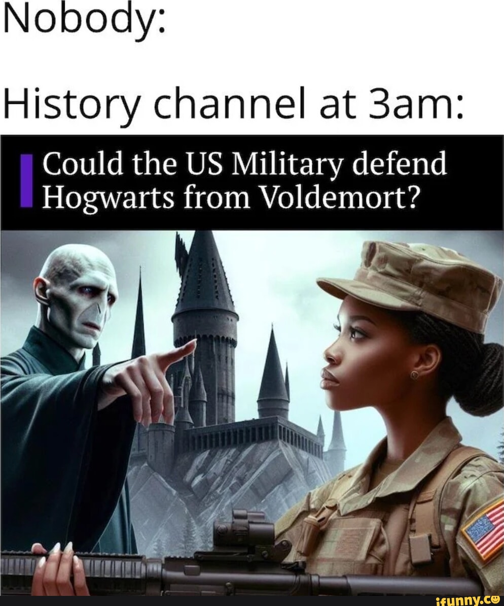 Nobody: History channel at Could the US Military defend Hogwarts from ...