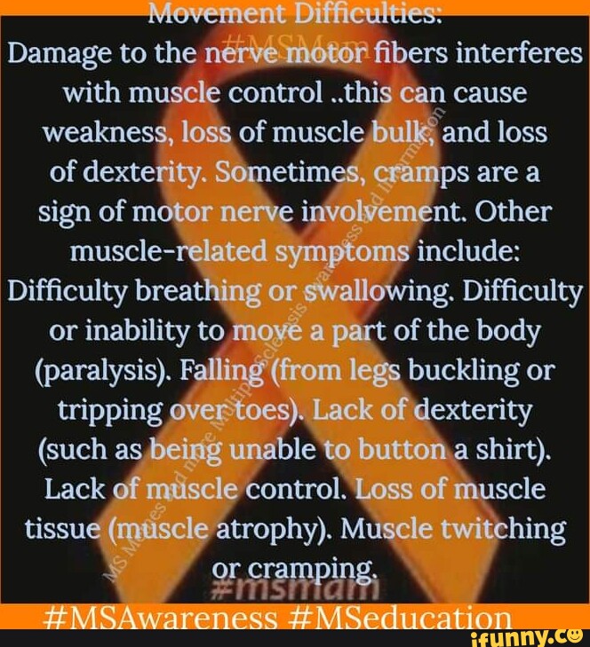 Movement Damage to the nerve motor fibers interferes with muscle ...