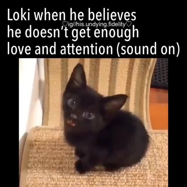 Loki when he believes fidelity fidelity he doesn't get enough love and ...