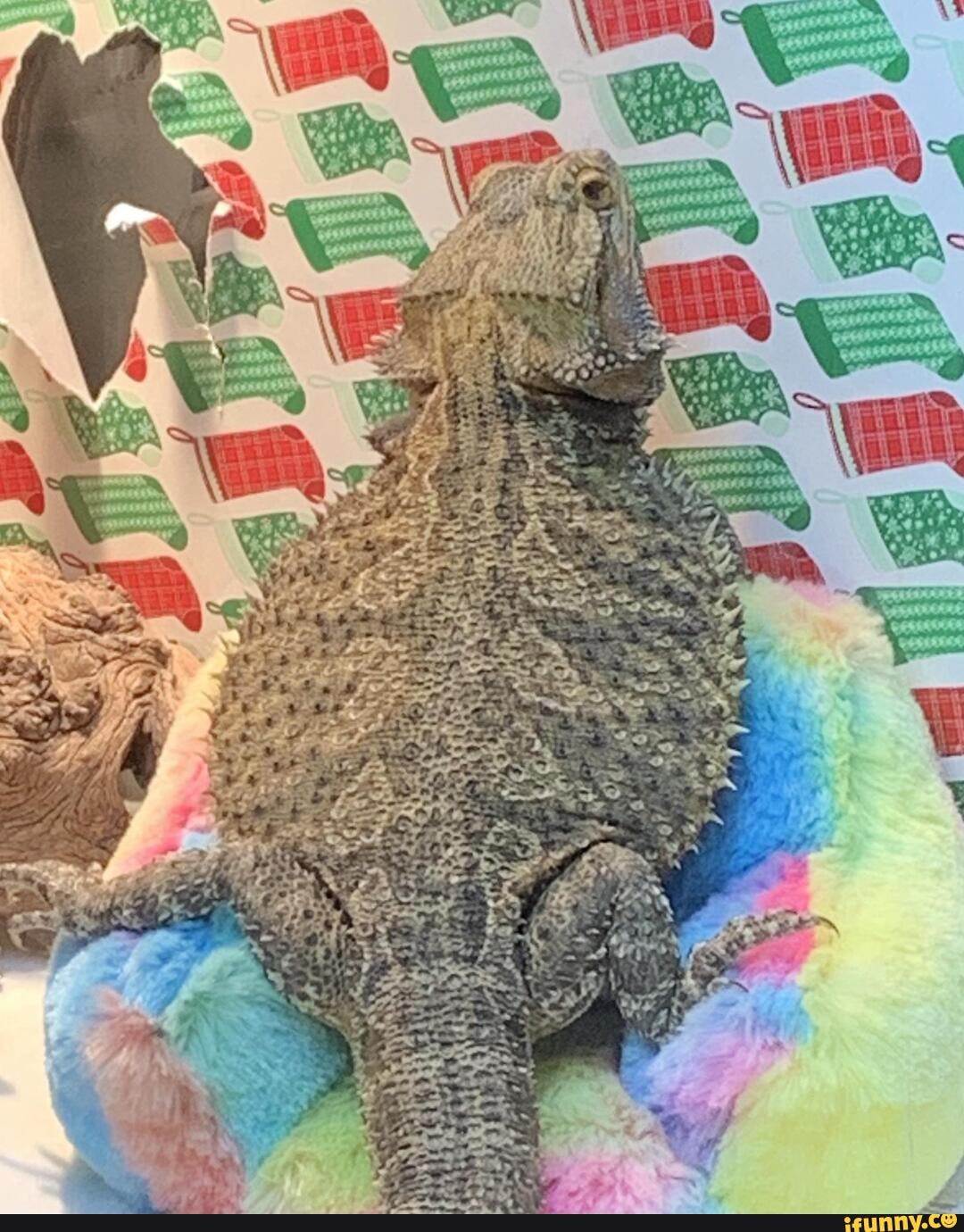 Pancaking memes. Best Collection of funny Pancaking pictures on iFunny