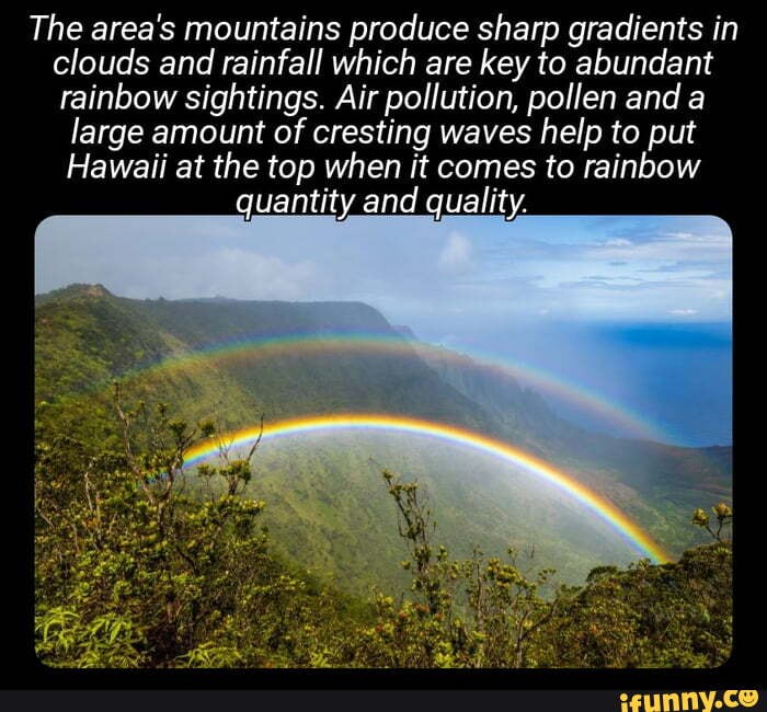 Gradients memes. Best Collection of funny Gradients pictures on iFunny