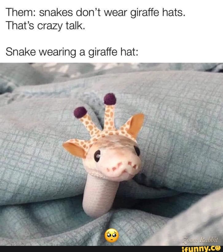 Them: snakes don't wear giraffe hats. That's crazy talk. Snake wearing ...