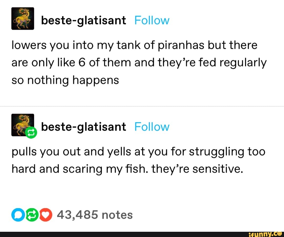 Glatisant memes. Best Collection of funny Glatisant pictures on iFunny