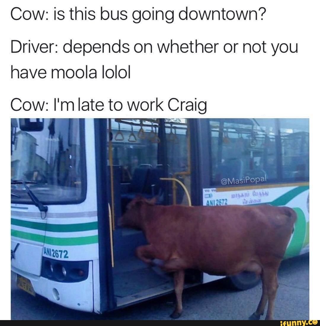 Moola memes. Best Collection of funny Moola pictures on iFunny