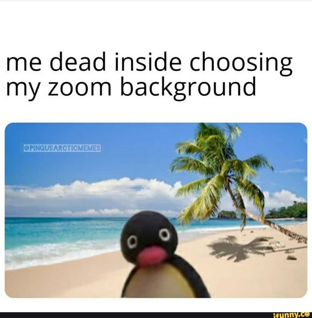 Me dead inside choosing my zoom background - iFunny