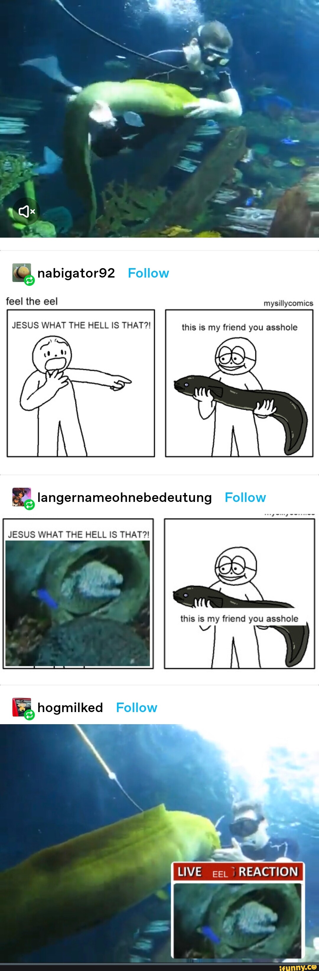 Nabigator22 Follow feel the eel mysillycomics JESUS WHAT THE HELL IS ...