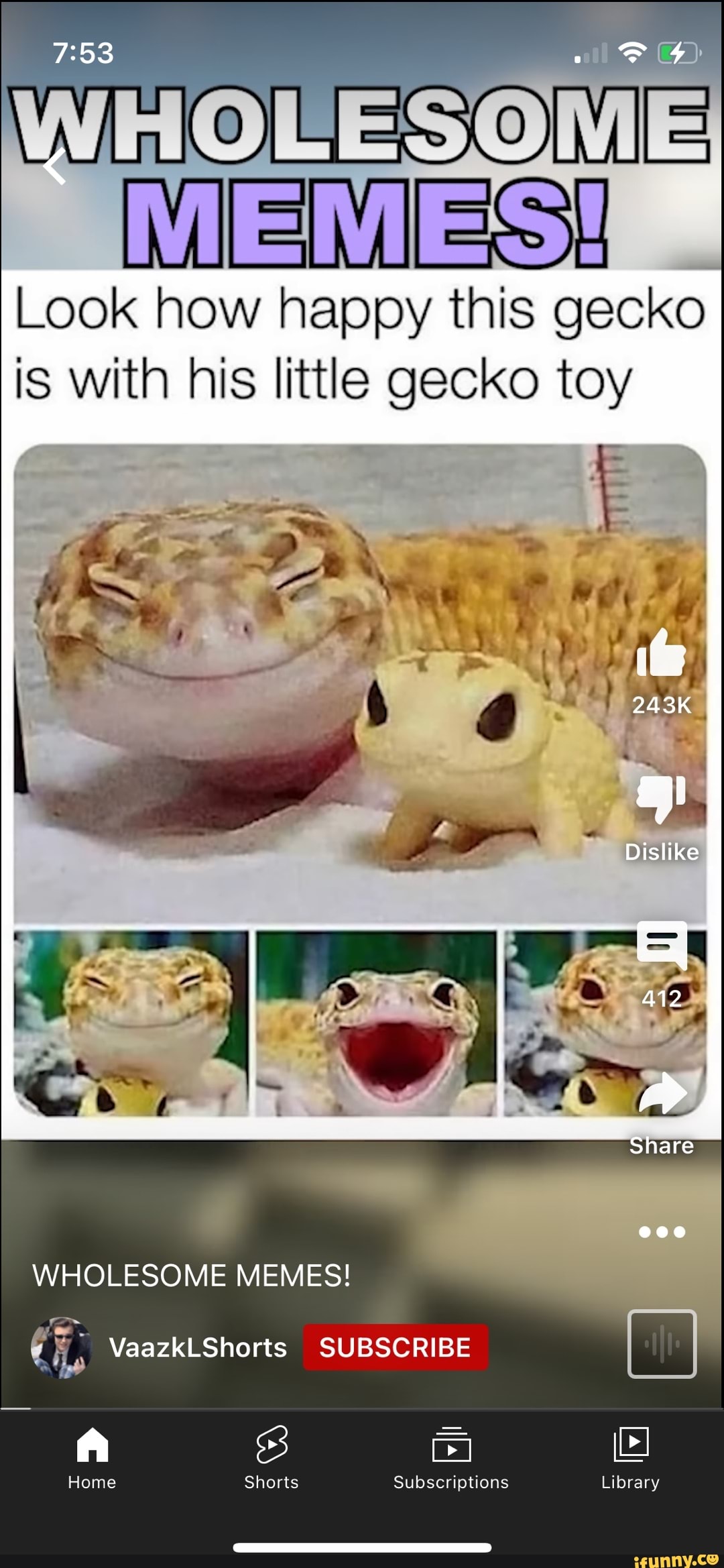 WHOLESON MEMES! Look how happy this gecko is with his little gecko toy ...