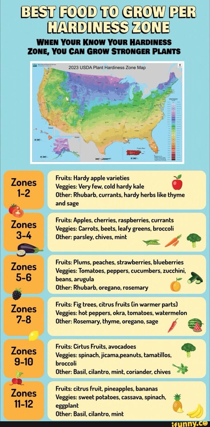 Rhubarb memes. Best Collection of funny Rhubarb pictures on iFunny