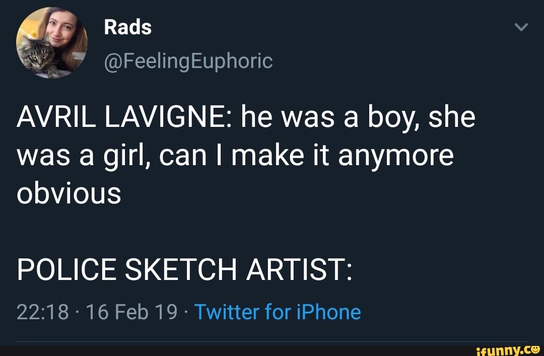 AVRIL LAVIGNE: he was a boy, she was a girl, can I make it anymore obvious POLICE SKETCH ARTIST ...