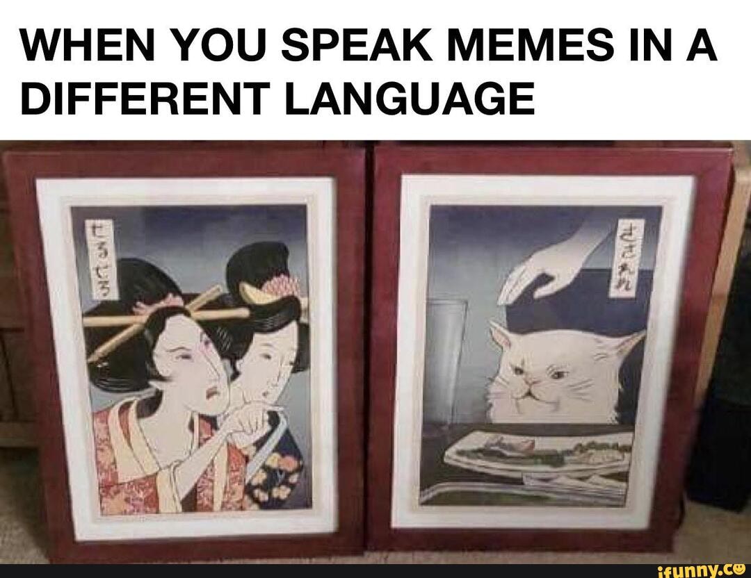 WHEN YOU SPEAK MEMES INA DIFFERENT LANGUAGE - iFunny