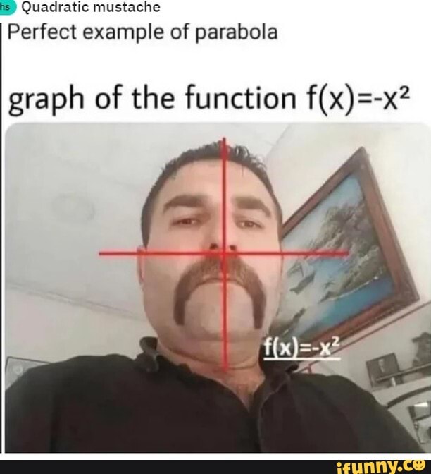 Quadratic mustache Perfect example of parabola graph of the function ...