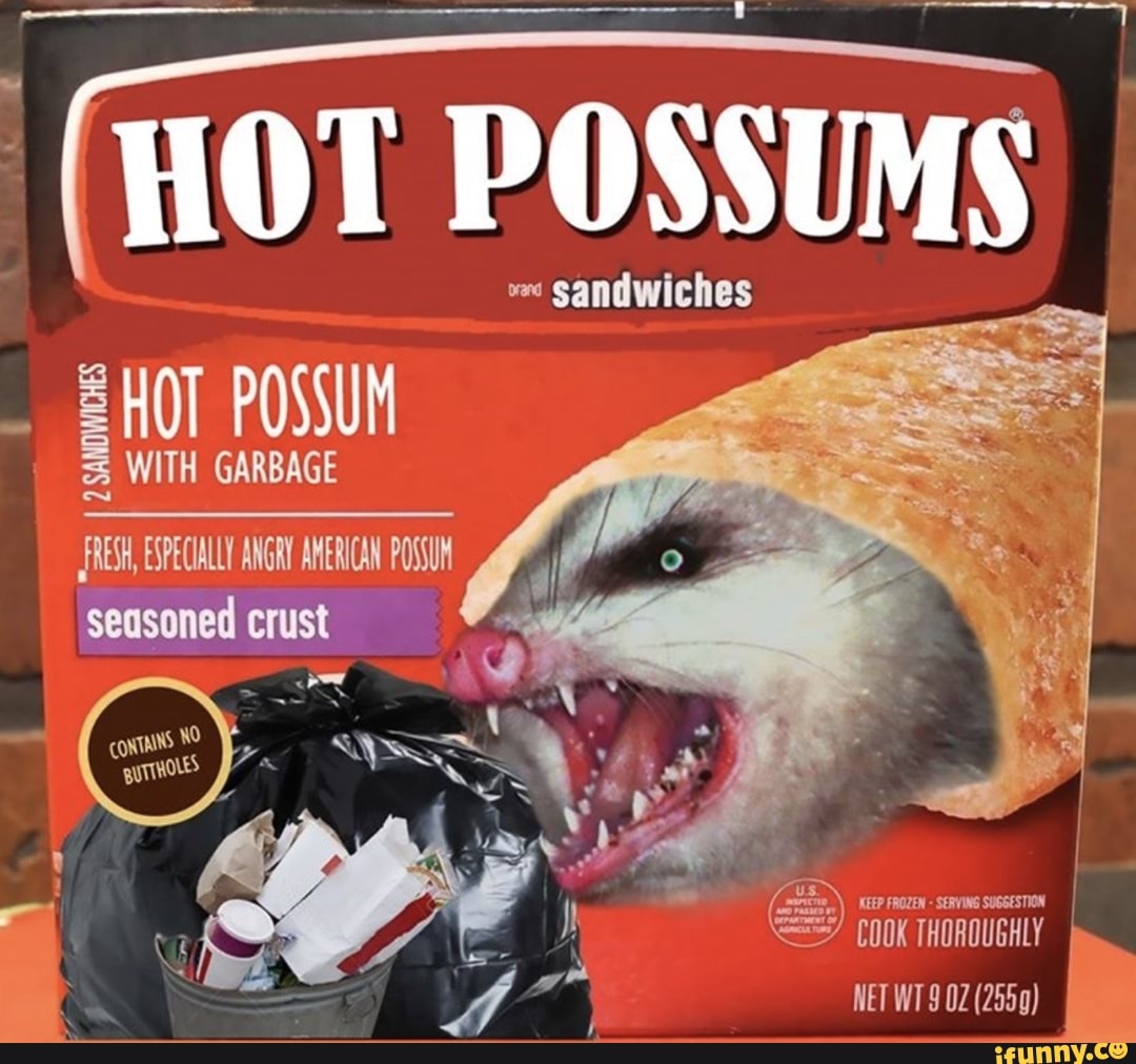 HOT POSSUMS HOT POSSUM WITH GARBAGE RES, PECL ANGRY POSSUM ESPECMLLY ...