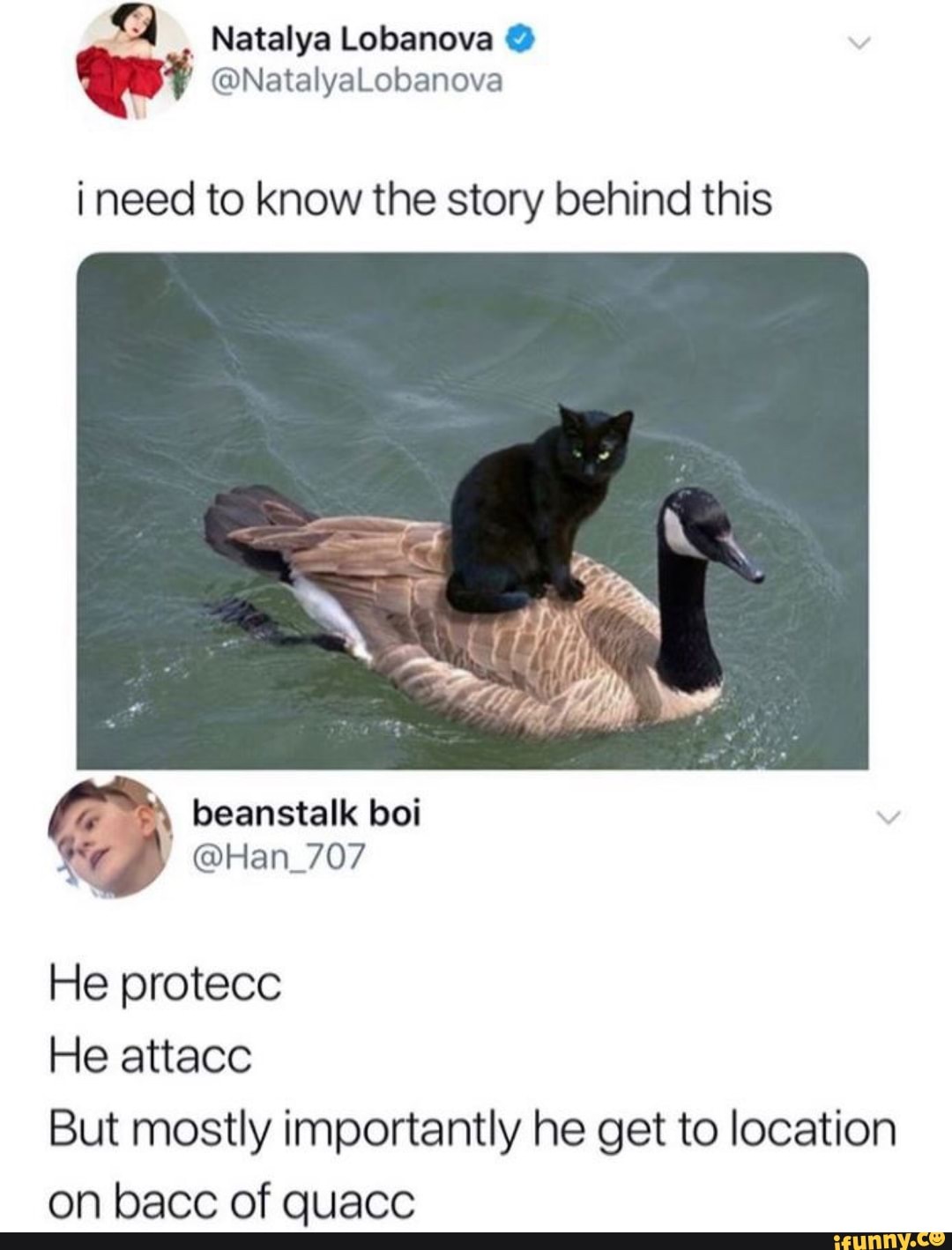 ** i need to know the story behind this He protecc He attacc But mostly ...