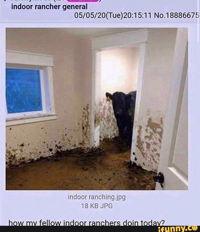 É indoor rancher general 4 05/05/20(Tue)20:15:11 No.18886675 ranching ...