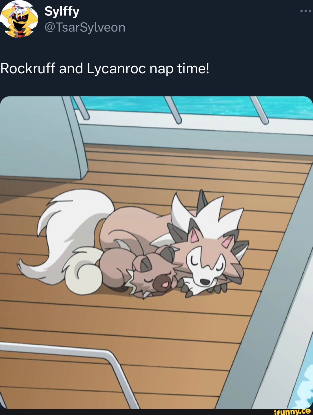 Rockruff memes. Best Collection of funny Rockruff pictures on iFunny