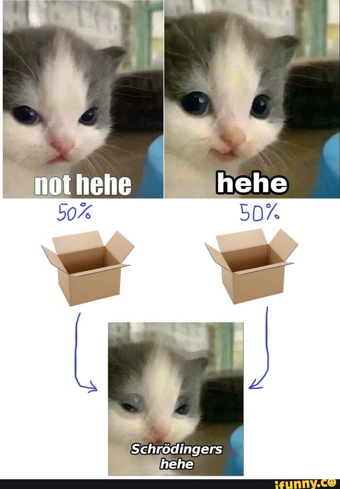 Schrodinger_cat memes. Best Collection of funny Schrodinger_cat ...