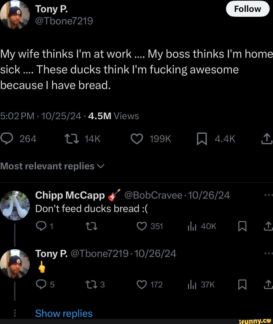 Picture memes DI2QDS7MA by dix_masher: 101 comments - iFunny