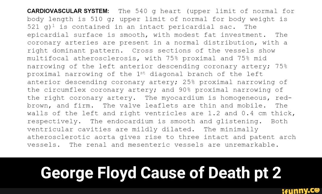 Pericardial memes. Best Collection of funny Pericardial pictures on iFunny