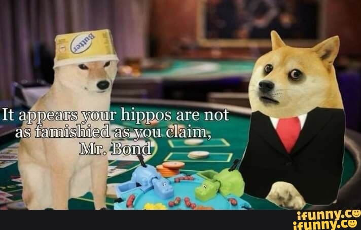 Hippos memes. Best Collection of funny Hippos pictures on iFunny