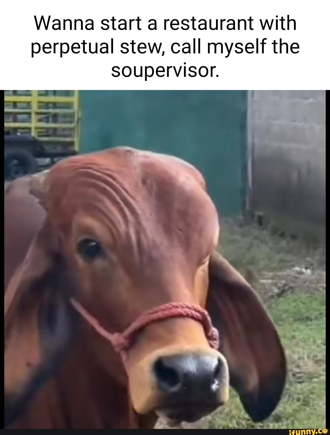 Soupervisor memes. Best Collection of funny Soupervisor pictures on iFunny