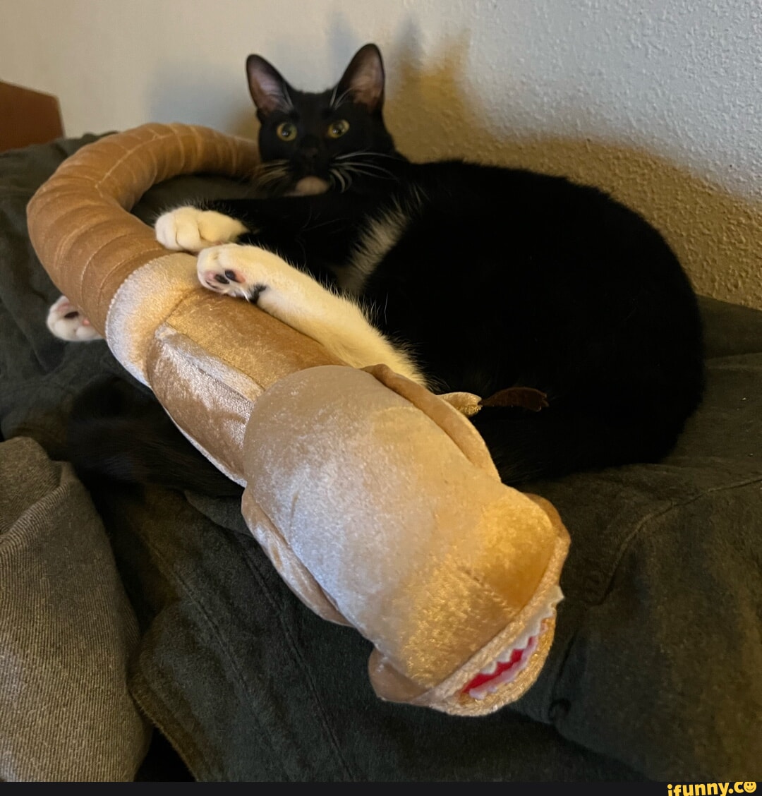 Chestburster memes. Best Collection of funny Chestburster pictures on ...