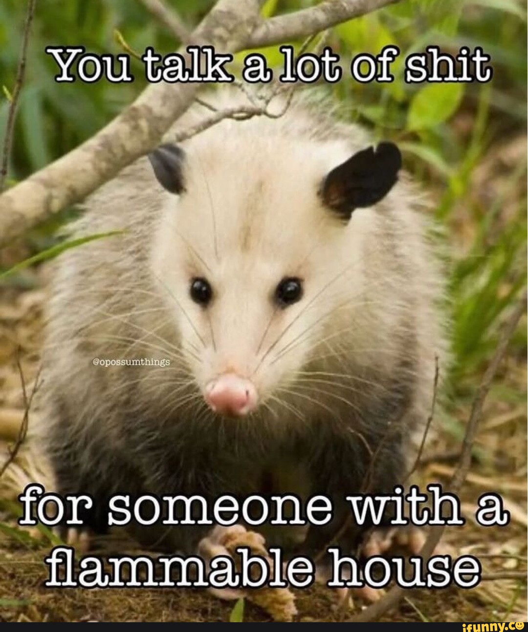 You talk a lot of shit for someone with a flammable house - iFunny