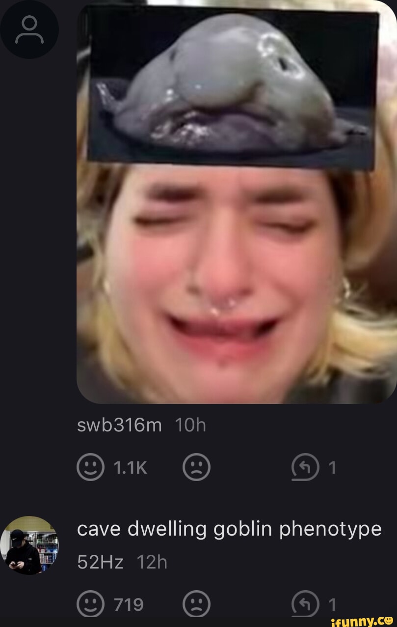 Blobfish memes. Best Collection of funny Blobfish pictures on iFunny