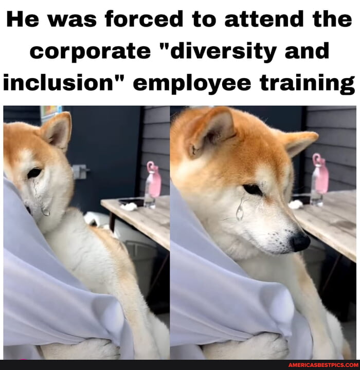 He was forced to attend the corporate "diversity and inclusion ...