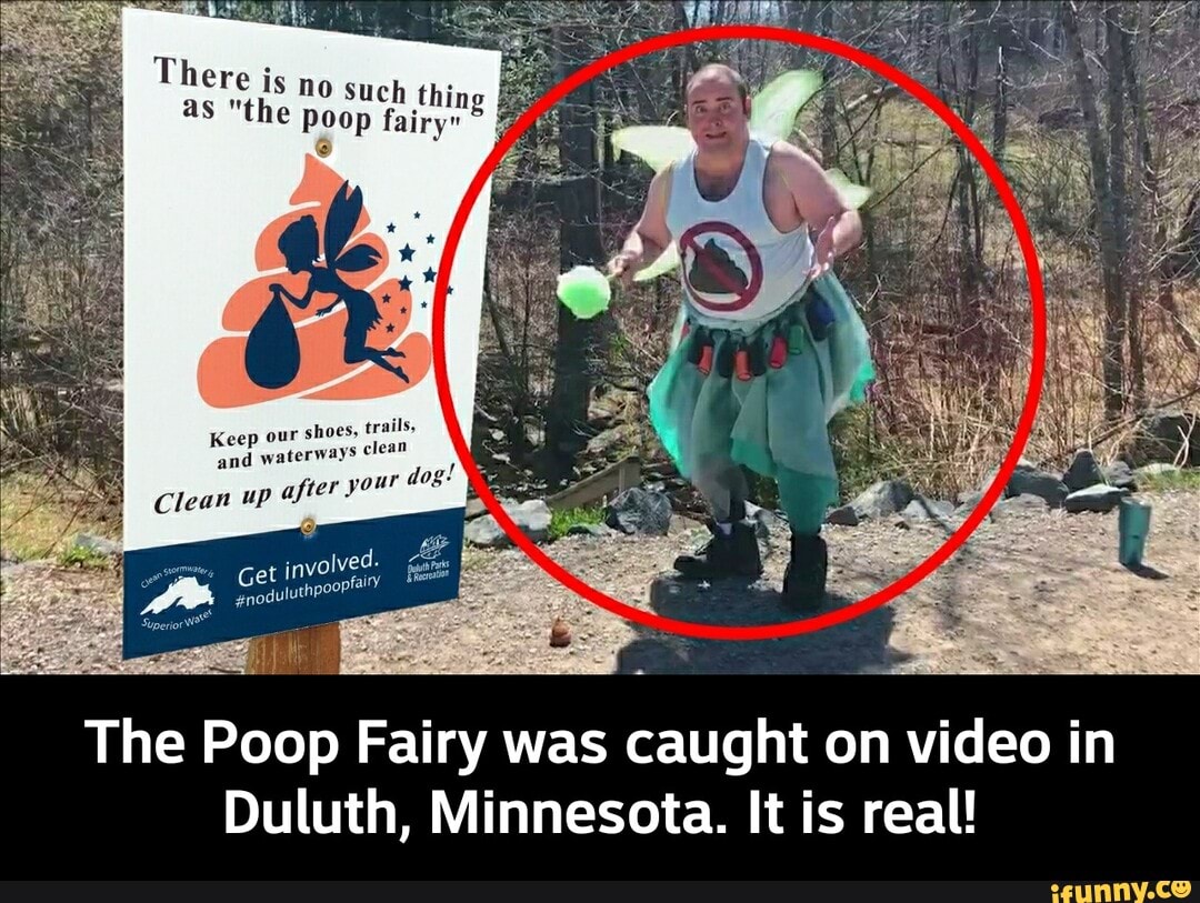Poopfairy memes. Best Collection of funny Poopfairy pictures on iFunny