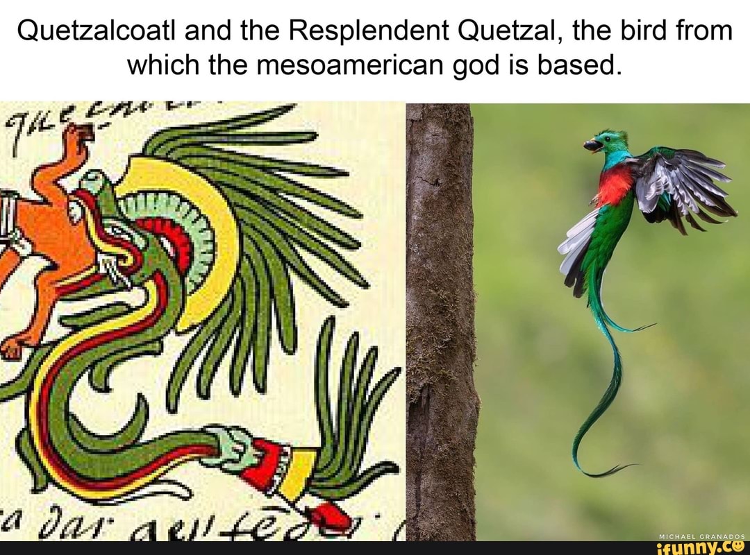Quetzalcoatl and the Resplendent Quetzal, the bird from which the ...
