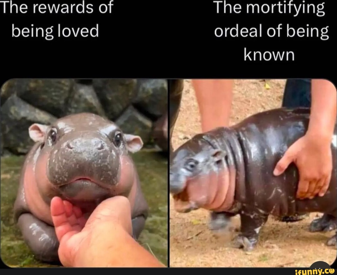 The rewards of The mortifying being loved ordeal of being known - iFunny