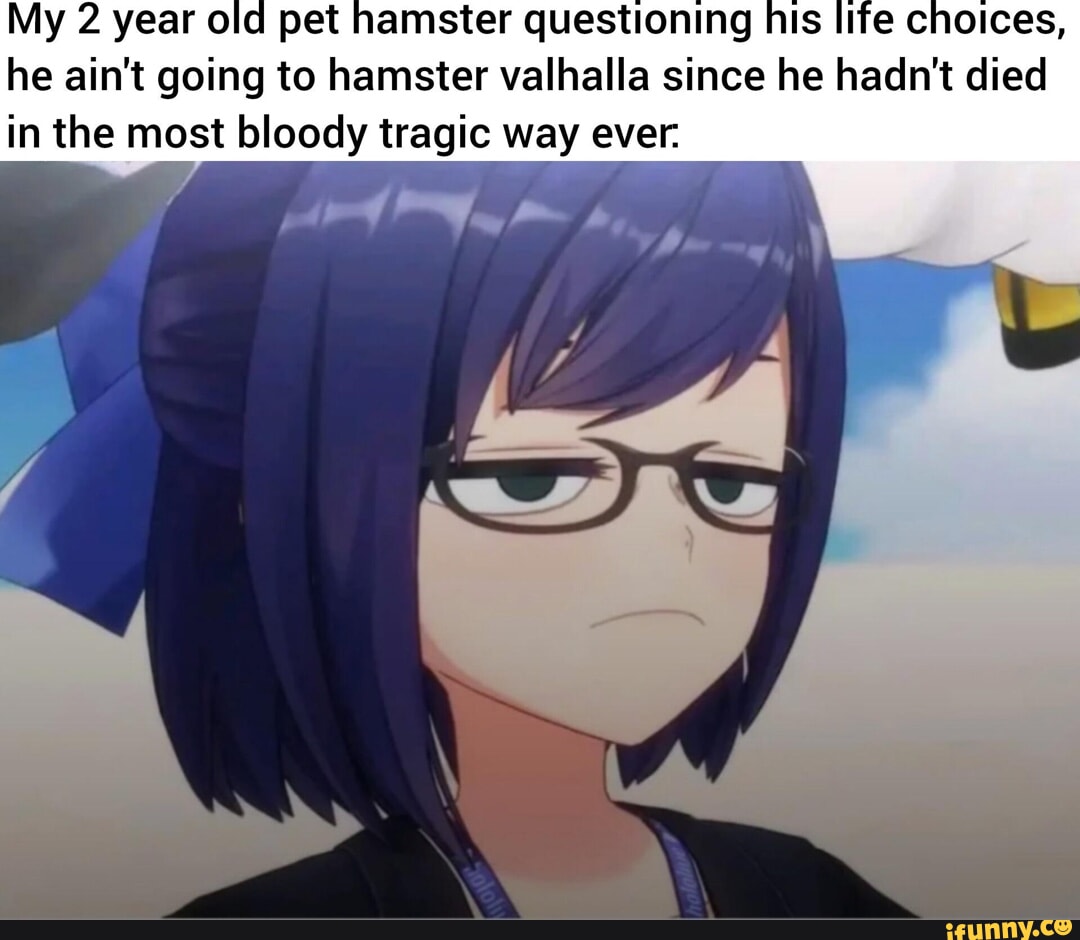 Valhalla memes. Best Collection of funny Valhalla pictures on iFunny