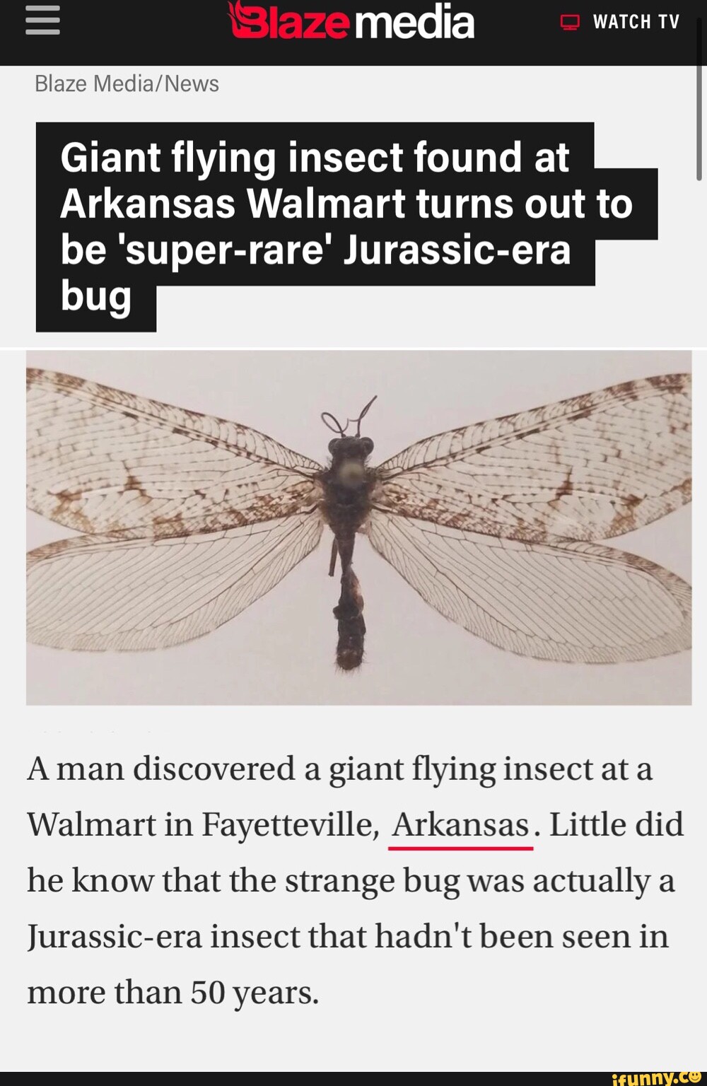 Video memes sJDN85wJA by Agent_Florida - seo.title