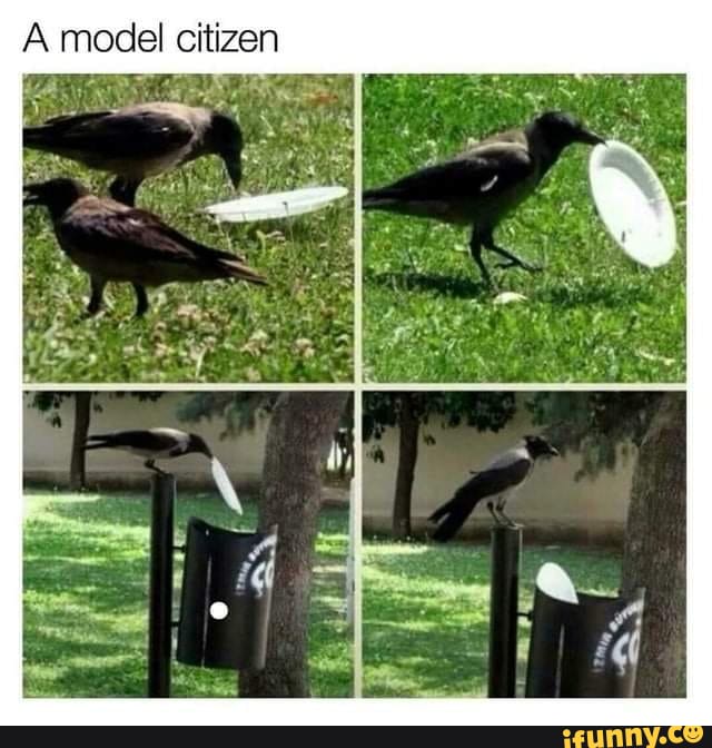 Memes - A model citizen - iFunny