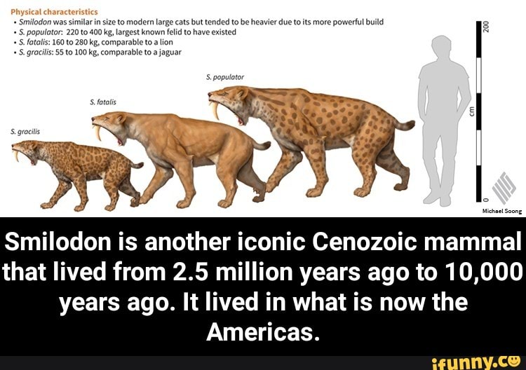 Smilodon is another iconic Cenozoic mammal that lived from 2.5 million ...