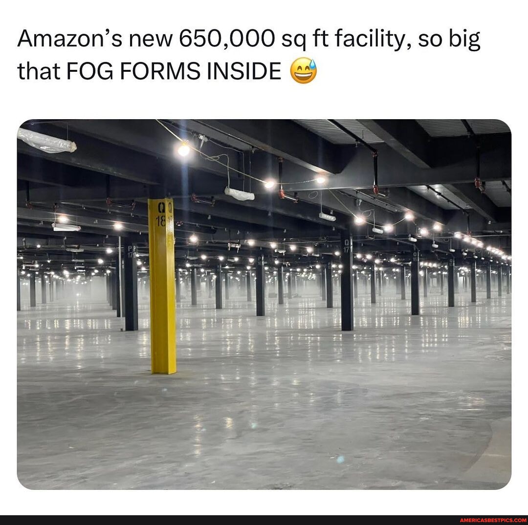 Ah yes The horrors of consumerism memes explore photography - Amazon's ...