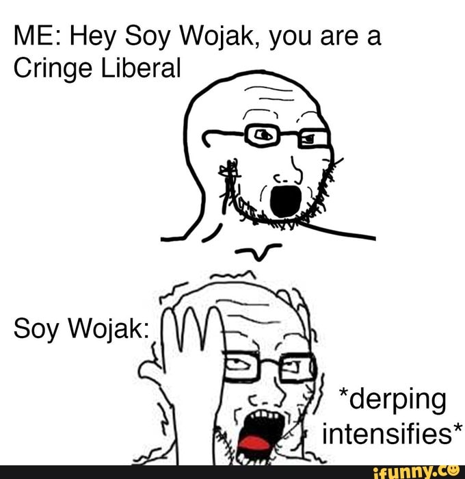 ME: Hey Soy Wojak, you are a Cringe Liberal Soy Wojak: } *derping ...