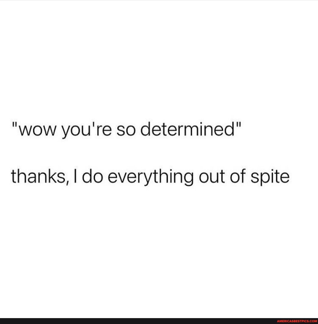 Follow the hilarious @BitchesWhoMeme for more hilarious memes! - "wow ...
