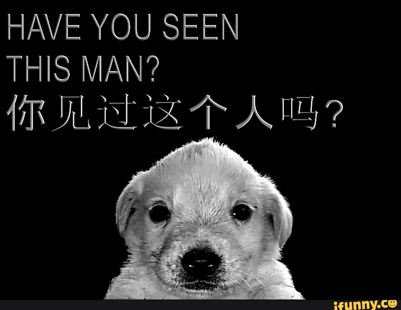 Jotchua memes. Best Collection of funny Jotchua pictures on iFunny