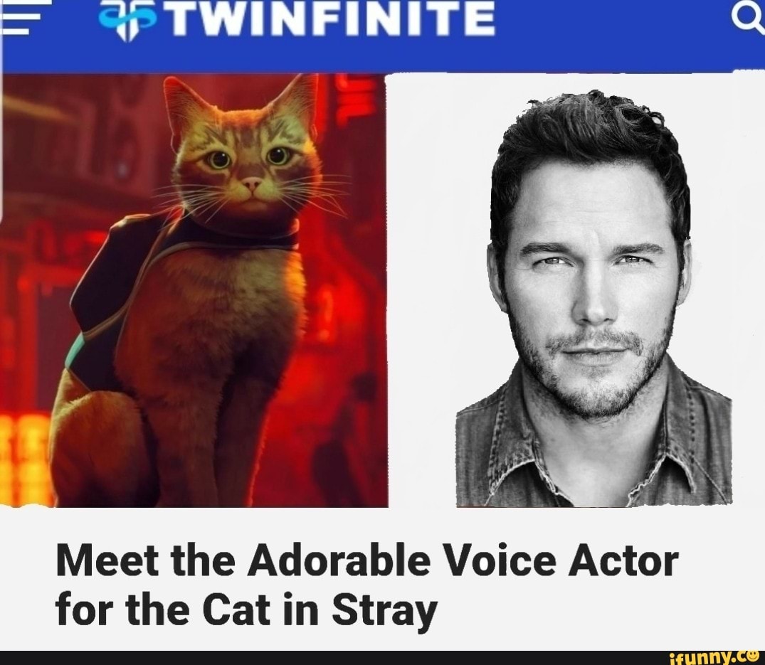 TWINFINITE Meet the Adorable Voice Actor for the Cat in Stray - iFunny