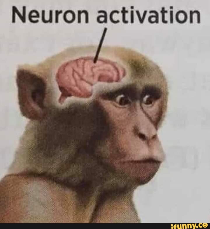 Neuron Activation Ifunny Brazil