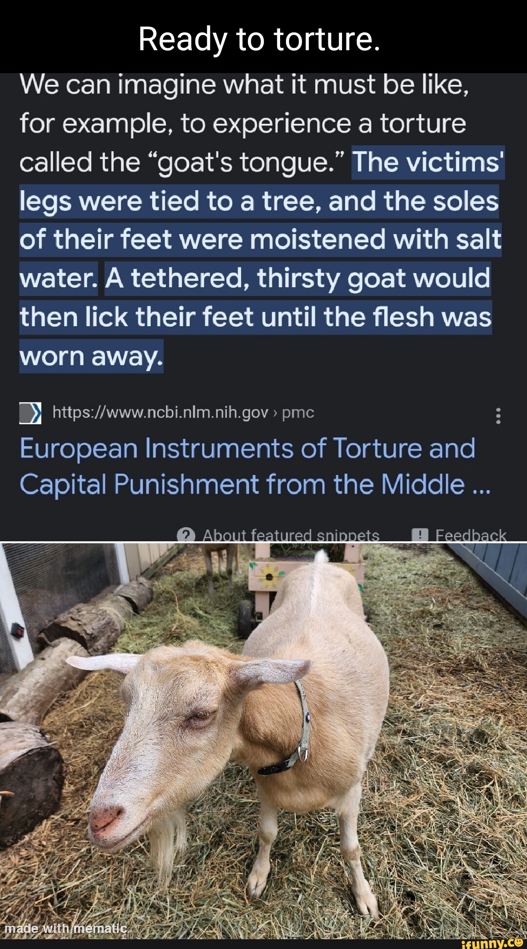 Ready to torture. We can imagine what it must be like, for example, to ...