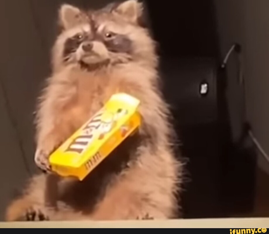 Mnms memes. Best Collection of funny Mnms pictures on iFunny