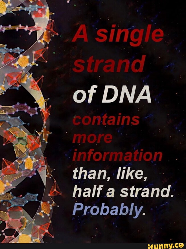 A'single. strand of DNA contains ~ . "more." "information . than, like ...