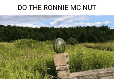 DO THE RONNIE MC NUT - iFunny