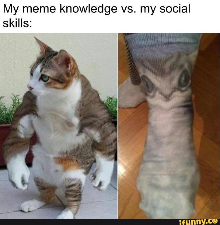 My meme knowledge vs. my social skills: - iFunny