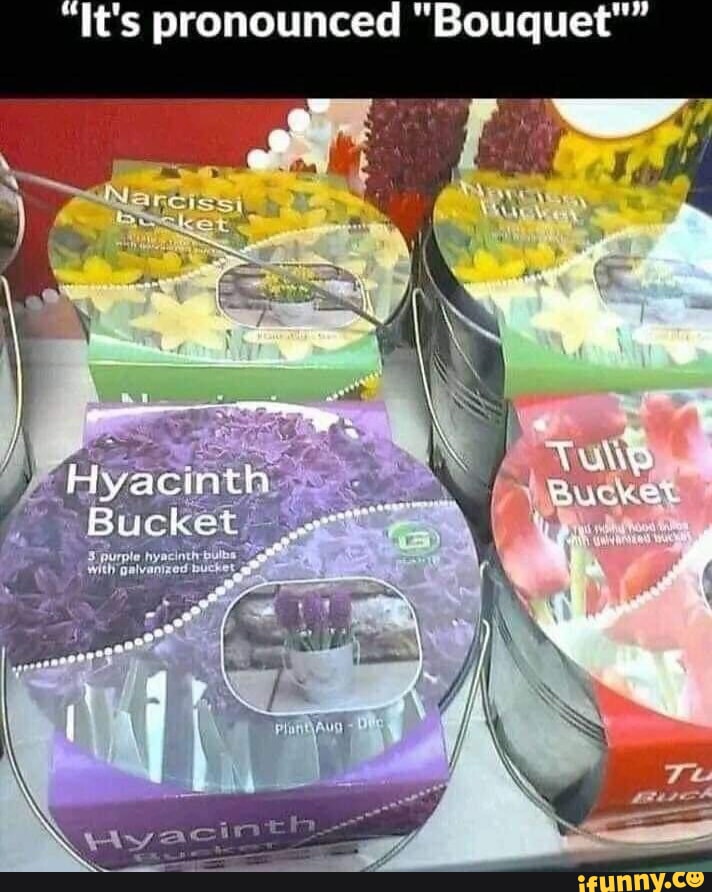 Bouquet memes. Best Collection of funny Bouquet pictures on iFunny