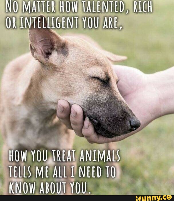 Rech memes. Best Collection of funny Rech pictures on iFunny