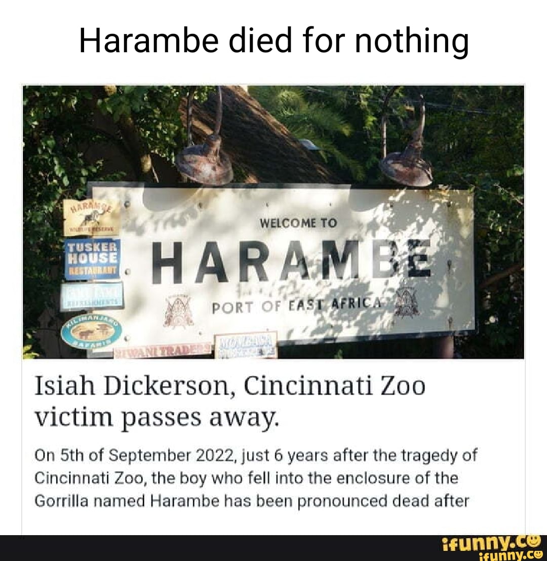 Harambe died for nothing WELCOME TO HAR AM: Isiah Dickerson, Cincinnati ...