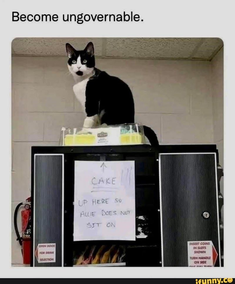 Become ungovernable. - iFunny